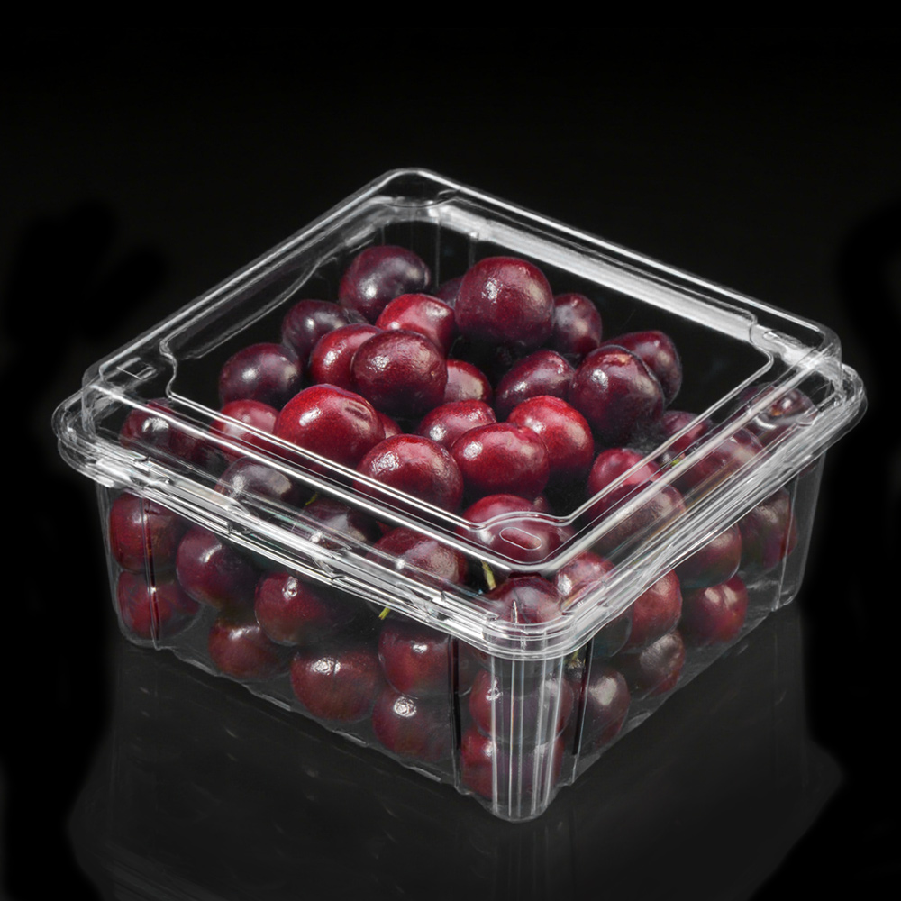 水果盒子CJ-1000 - 我的网站